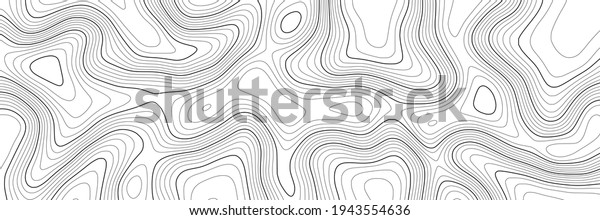 Imitation Geographical Map Black Lines On Stock Vector (Royalty Free ...