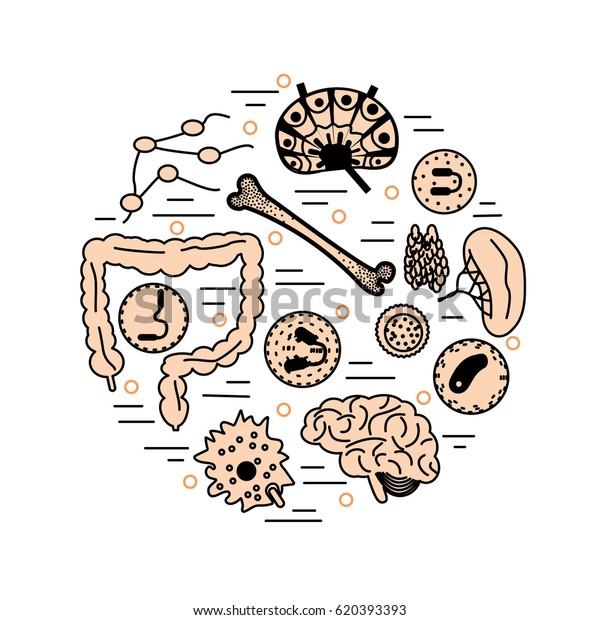 Immune System Icon Set Circle Stock Stock Vector Royalty Free 620393393
