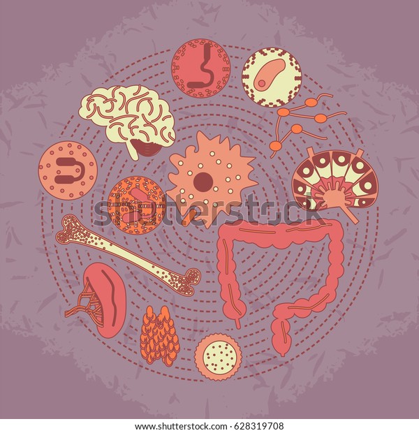 Immune System Icon Set Stock Vector Stock Vector (Royalty Free ...