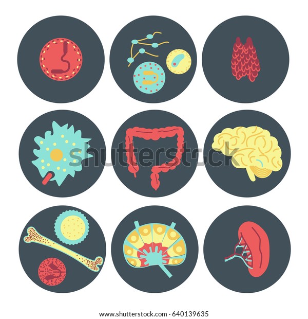 Immune System Icon Set Stock Vector Stock Vector (Royalty Free) 640139635