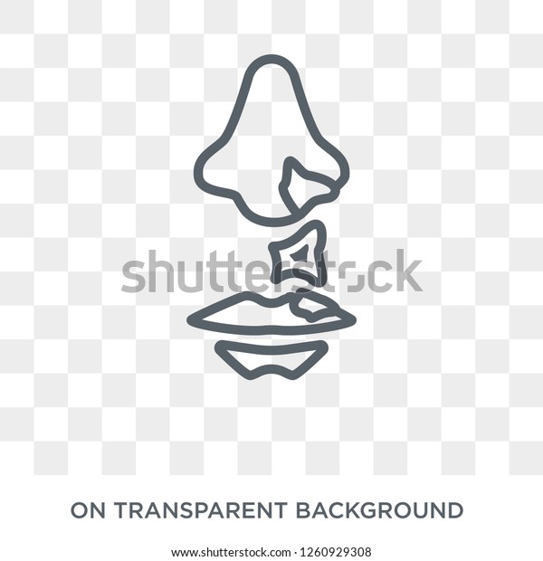 Impetigo Icon Trendy Flat Vector Impetigo 库存矢量图（免版税）1260929308 ...
