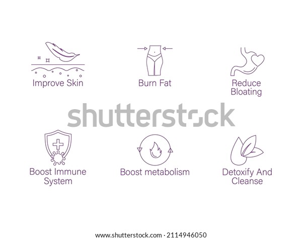 214 Detoxify Icon Images, Stock Photos & Vectors | Shutterstock