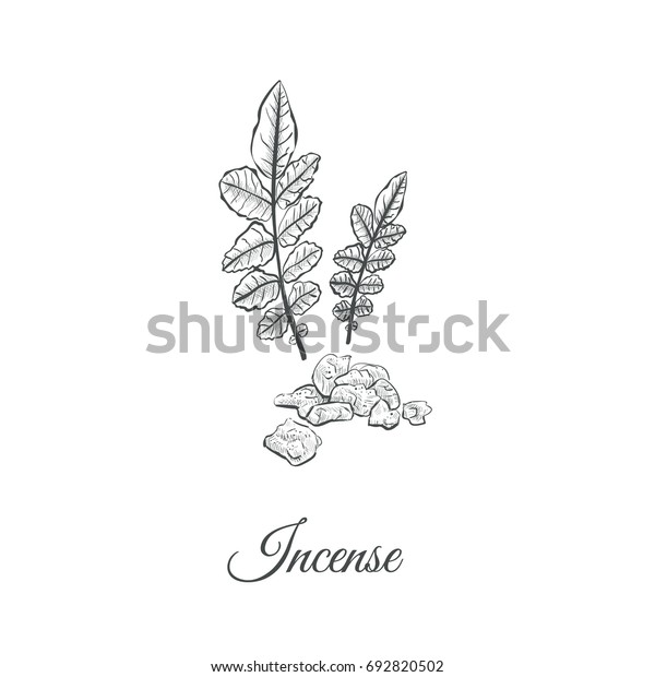 Incense Sketch Hand Drawing Vector Illustration Stock Vector (Royalty ...