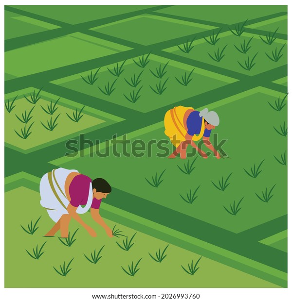 Indian Farmer Field Work Farm Stock Vector (Royalty Free) 2026993760 ...