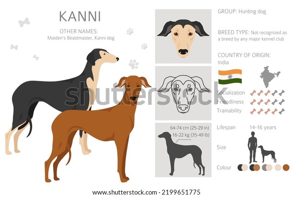 Indian Kanni Dog Clipart Different Coat: เวกเตอร์สต็อก (ปลอดค่า ...