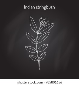 Salago Images, Stock Photos & Vectors | Shutterstock