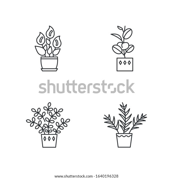 204,084 Linear plants 图片、库存照片和矢量图 | Shutterstock