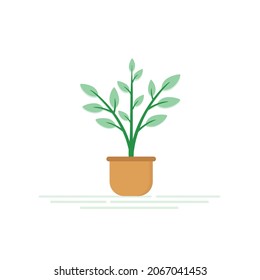 2,691 Growing Potted Plans Images, Stock Photos & Vectors | Shutterstock