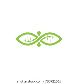 Infinity Leaf Seed Infinity Green Leaf Stock Vector (Royalty Free ...