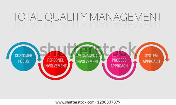 Info Graphic Total Quality Management Stock Vector (Royalty Free ...