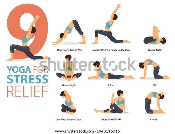 Infographic 9 Yoga Poses Workout Concept Stock Vector (Royalty Free ...