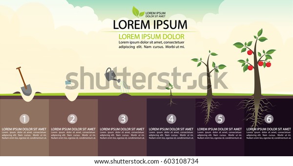 Planting process Images - Search Images on Everypixel