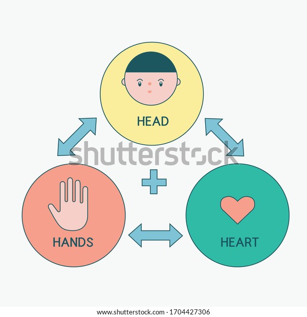 Infographic Head Hand Heart Stock Vector (Royalty Free) 1704427306 ...