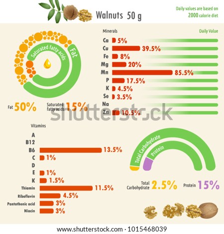 Infographic Illustration Walnut Nutritional Value Values Stock Vector ...