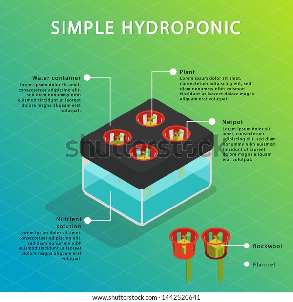 Infographic Simple Hydroponic Wick System Stock Vector (Royalty Free ...