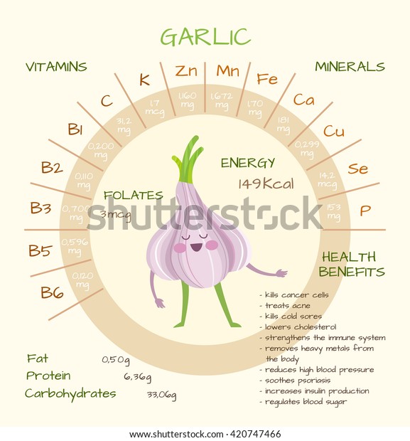 Infographics About Nutrients Garlic Vector Illustration Stock Vector ...