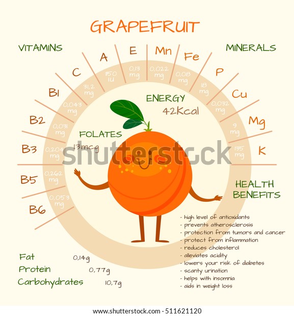Infographics About Nutrients Grapefruit Vector Illustration Stock ...
