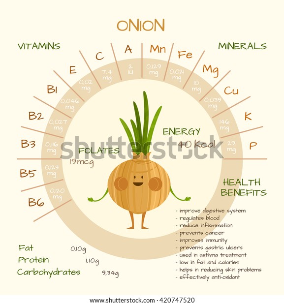 Infographics About Nutrients Onion Vector Illustration Stock Vector ...