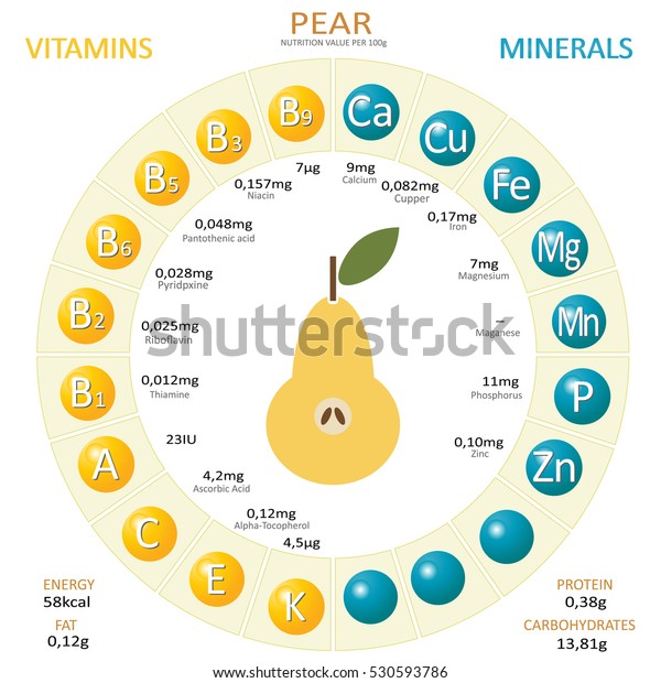 Infographics About Nutrients Pear Vector Illustration Stock Vector ...