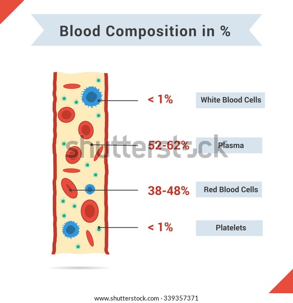 Infographics Blood Composition Tubes Blood Four Stock Vector (Royalty ...