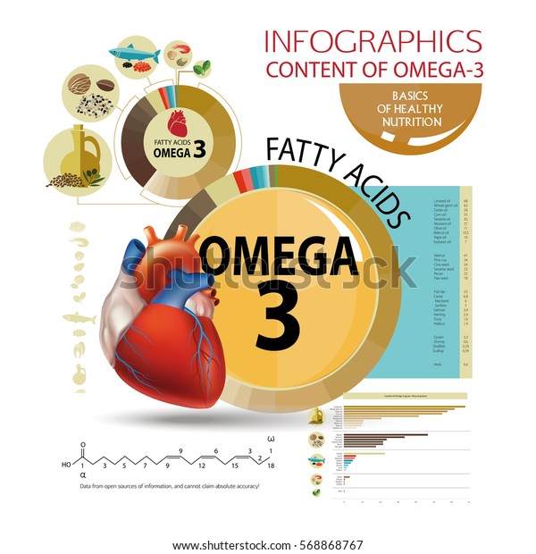 Infographics Foods Highest Content Omega3 Healthy: vector de stock ...