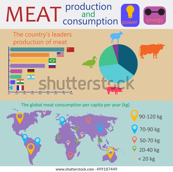 Infographics Production Consumption Meat Stock Vector (Royalty Free ...