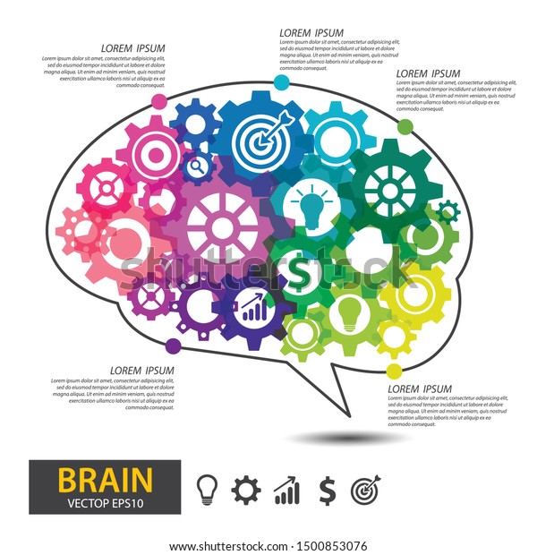Infographics Vector Brain Design Brain Gears Stock Vector (Royalty Free ...