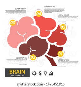 Infographics Vector Brain Design Vector Illustration Stock Vector (Royalty Free) 1495451915 ...