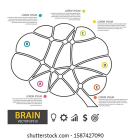 Infographics Vector Brain Design Vector Illustration Stock Vector ...
