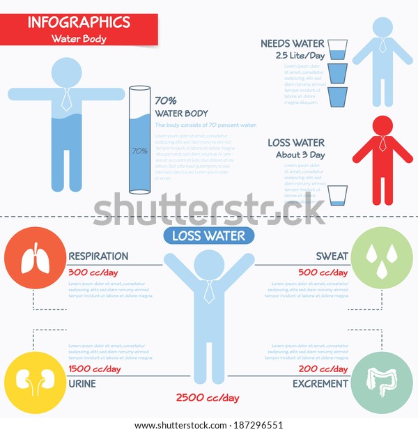 Infographics Water Body Vector Eps10 Stock Vector (Royalty Free ...