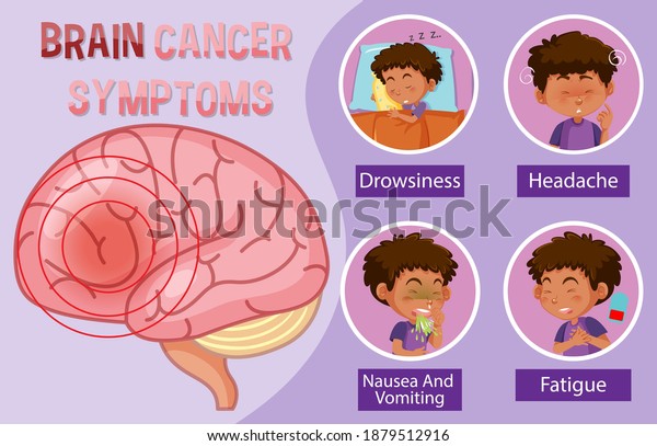 Information Poster Human Brain Diagram Illustration Stock Vector ...