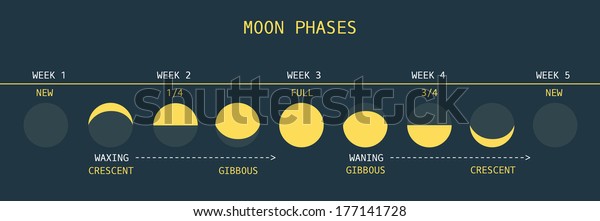 Informative Chart Monthly Moon Cycle Equator Stock Vector (Royalty Free ...