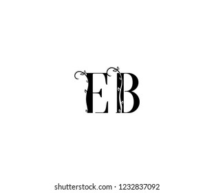 Different Types Brackets Math Stock Vector (Royalty Free) 1914115930