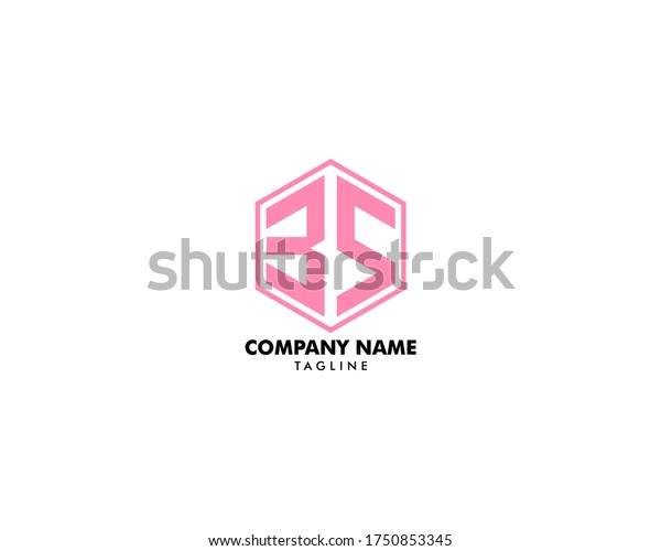 Initial Letter 3s Logo Template Design Stock Vector (Royalty Free ...