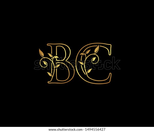 Initial Letter B C Bc Gold Stock Vector (Royalty Free) 1494556427 ...