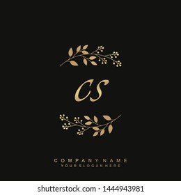 Initial Letter Cs Beautiful Handwriting Logo Stock Vector (Royalty Free ...