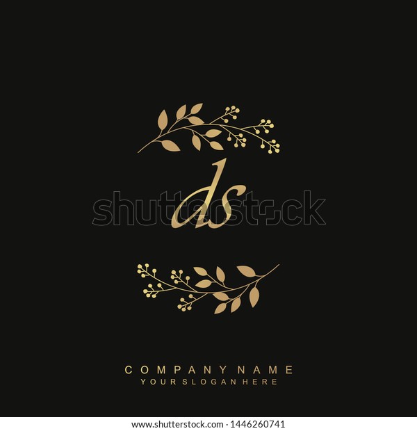 Initial Letter Ds Beautiful Handwriting Logo Stock Vector (Royalty Free ...