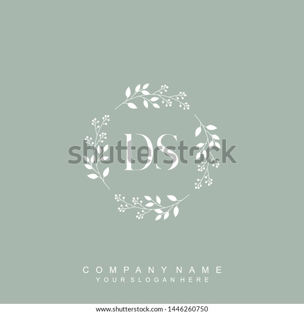 Initial Letter Ds Beautiful Handwriting Logo Stock Vector (Royalty Free ...