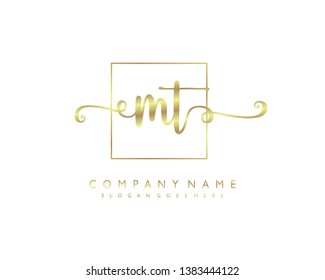 Initials Letter Mt Handwriting Logo Vector Stock Vector (Royalty Free ...
