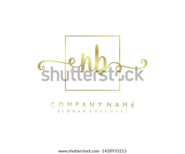 Initials Letter Nb Handwriting Logo Vector Stock Vector (Royalty Free ...