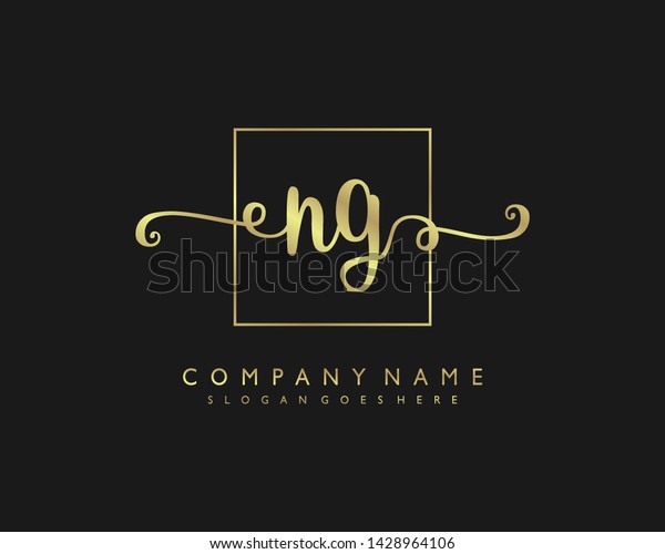 Initials Letter Ng Handwriting Logo Vector Stock Vector (Royalty Free ...