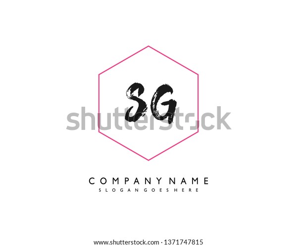 Initials Letter Sg Handwriting Logo Vector Stock Vector (Royalty Free ...