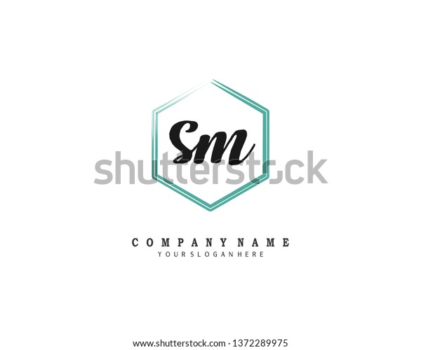 Initials Letter Sm Handwriting Logo Vector Stock Vector (Royalty Free ...