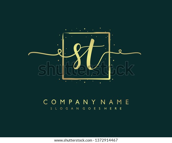 Initials Letter St Handwriting Logo Vector Stock Vector (Royalty Free ...
