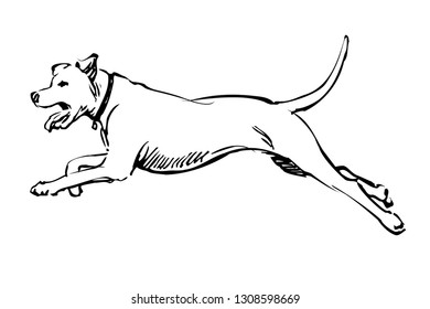 Ink Drawing Dog Stock Vector (Royalty Free) 1308598669 | Shutterstock
