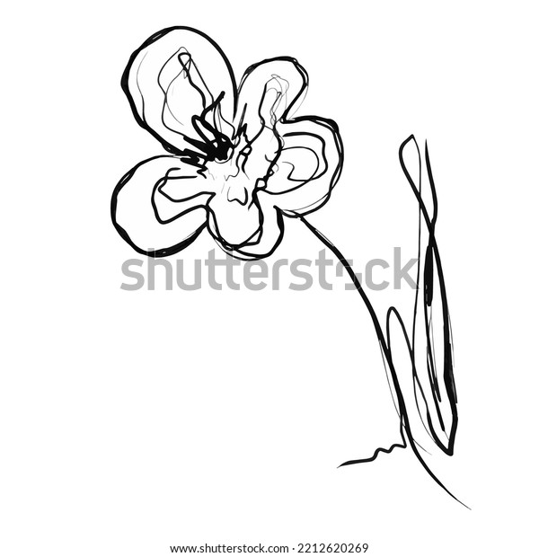 Ink Drawing Flower Isolated On White Stock Vector (Royalty Free ...