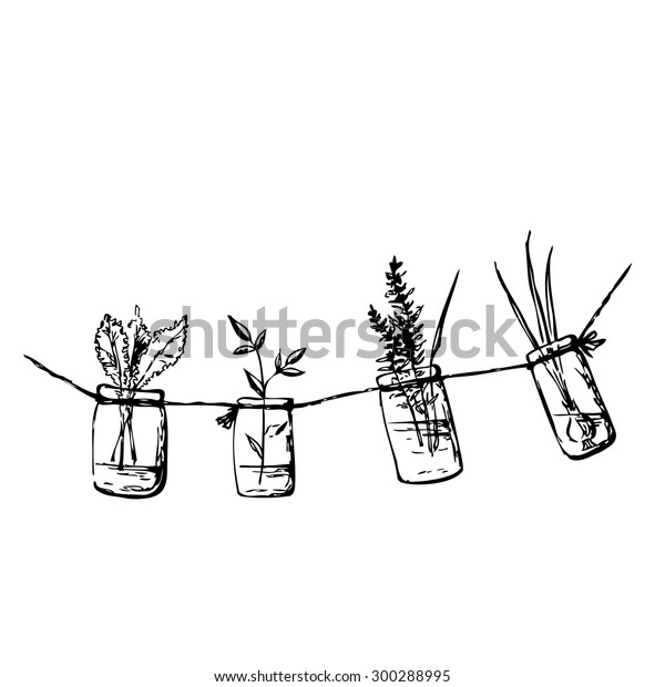 Ink Drawing Greenery Hand Drawn Fast: Vector có sẵn (miễn phí bản quyền ...