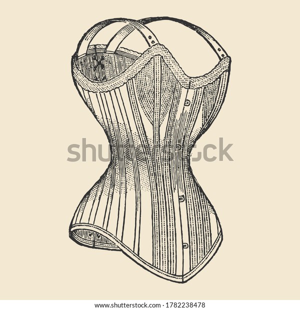 Ink Drawing Victorian Corset Vector Stock Vector (Royalty Free) 1782238478