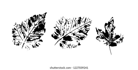 Ink Prints Leaves Stock Vector (Royalty Free) 1227039241 | Shutterstock