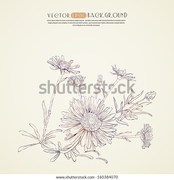 Ink Sketch Flowersvector Illustration Stock Vector (Royalty Free ...